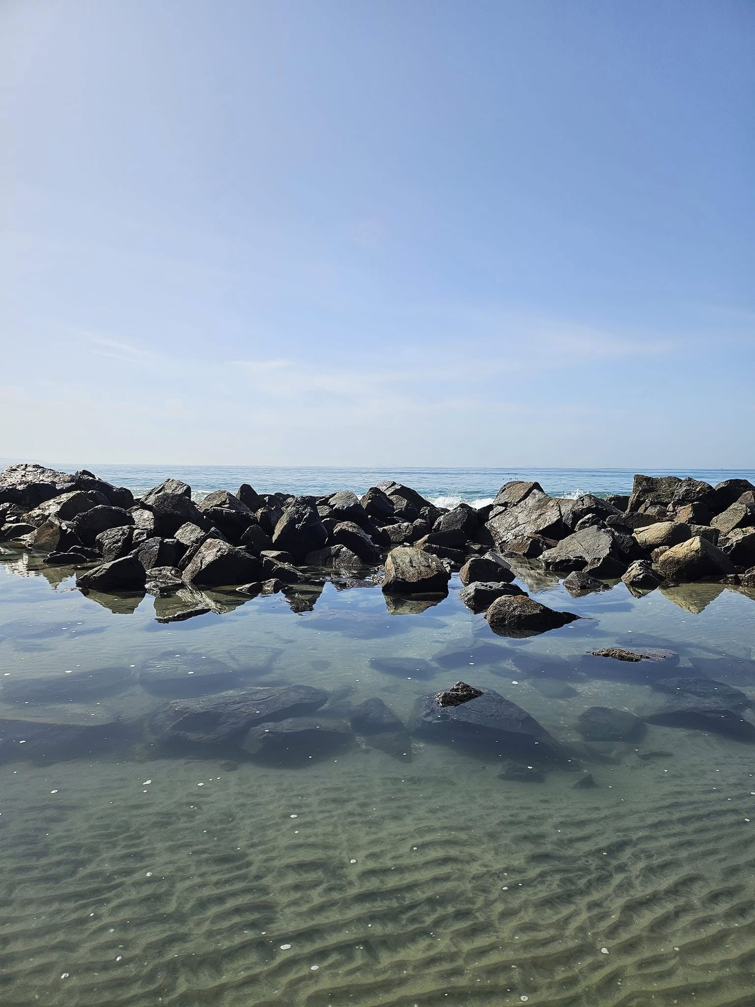 About me - Divya Ramesh